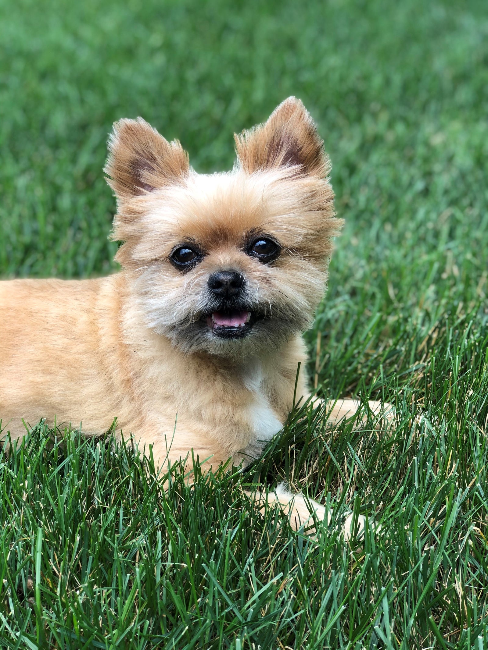 The Woolever Diaries – Page 2