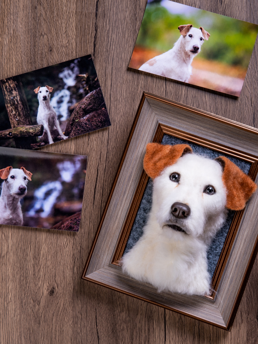 My Woolever Friend | Handmade Artistic Replicas of Your Pet