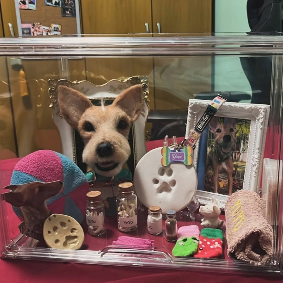 My Woolever Friend | Handmade Artistic Replicas of Your Pet